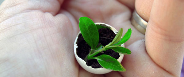 Pipefitters Local 636 Fringe Benefit Funds